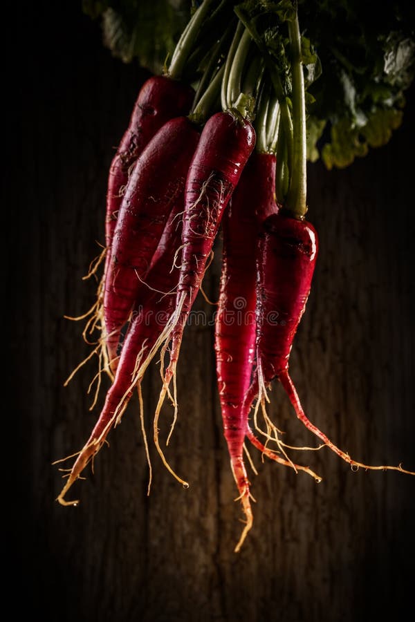 Bunch of long radish stock image. Image of radish, green - 93856331