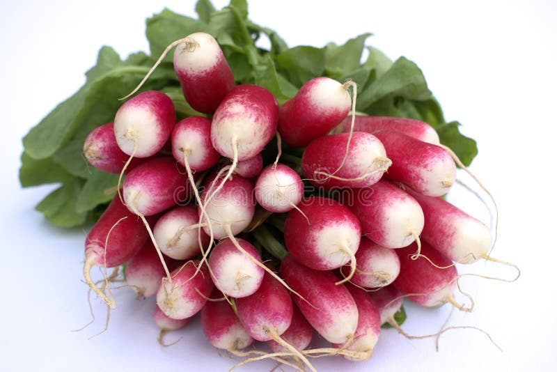 680 Radish Long Red Stock Photos - Free & Royalty-Free Stock Photos ...