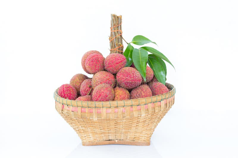 Bunch of Lychees with Leaves on White Stock Image - Image of litchi ...