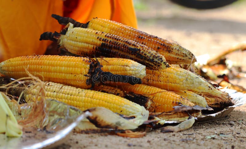 Bunch of Maize/corn Grilled Stock Image - Image of chef, lunch: 196381247