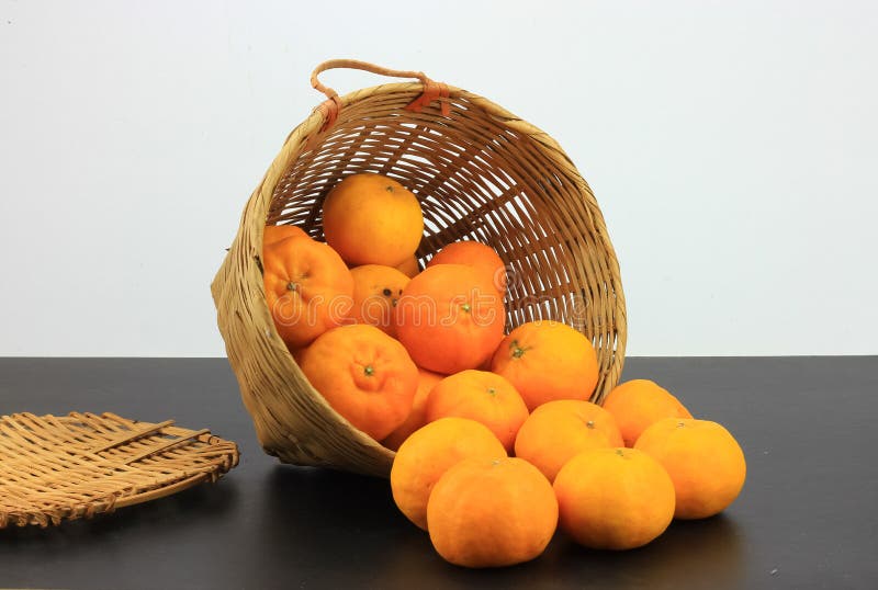 A Bunch of Mandarin Orange in Rattan Basket Stock Photo - Image of life ...