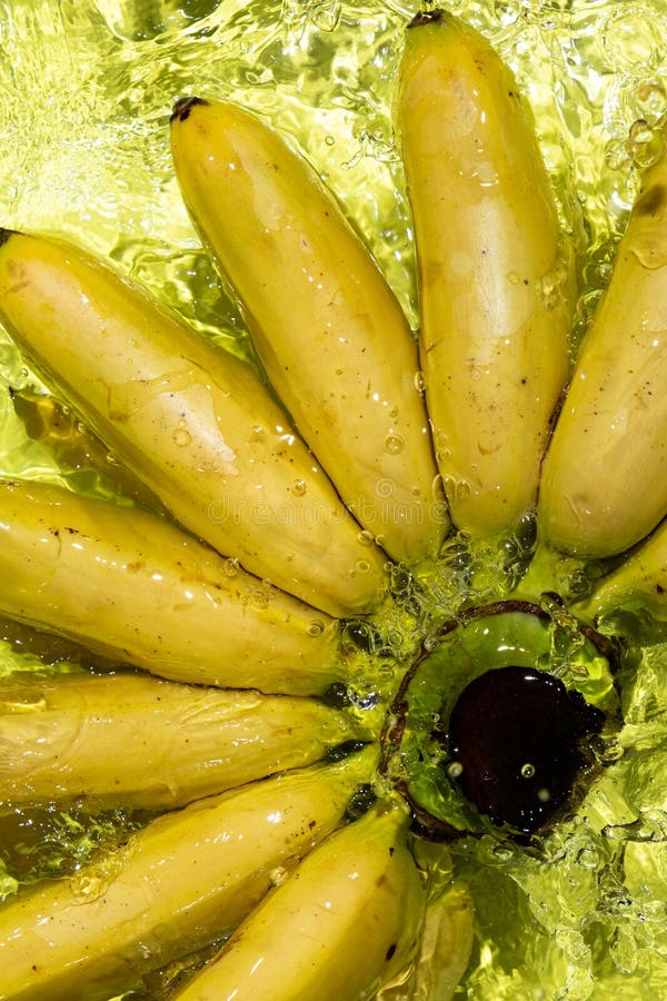 Bunch of Mini Baby Bananas in a Water Splash Top View Stock Photo ...
