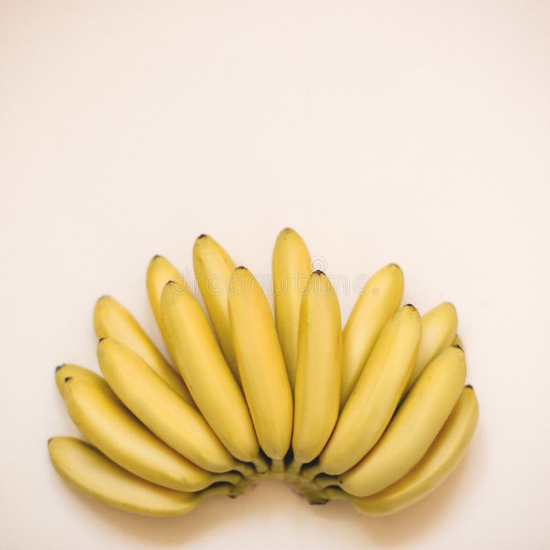 Branch of mini bananas stock photo. Image of object, bunch - 22232504