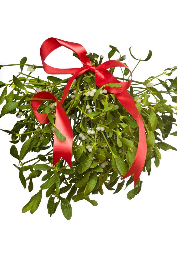 16,389 Mistletoe Stock Photos - Free & Royalty-Free Stock Photos from ...
