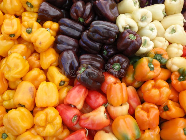 622 Multi Colored Sweet Peppers Stock Photos - Free & Royalty-Free ...