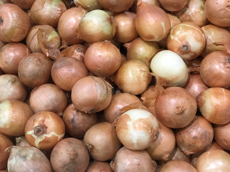 Onion Texture and Background Stock Photo - Image of textures, texture ...