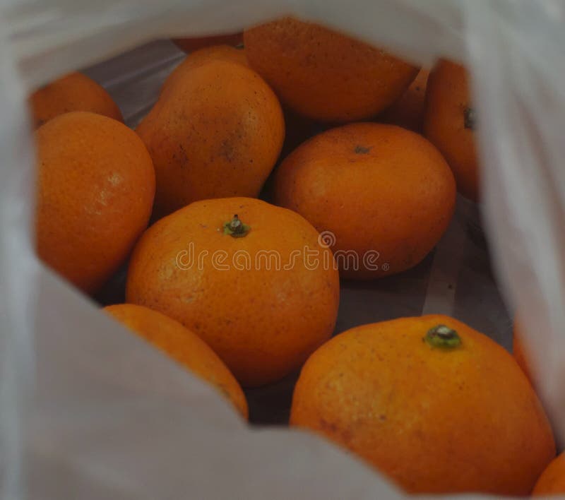 Bunch of Orange Fruit in a Plastic Bag Stock Image - Image of gourd ...