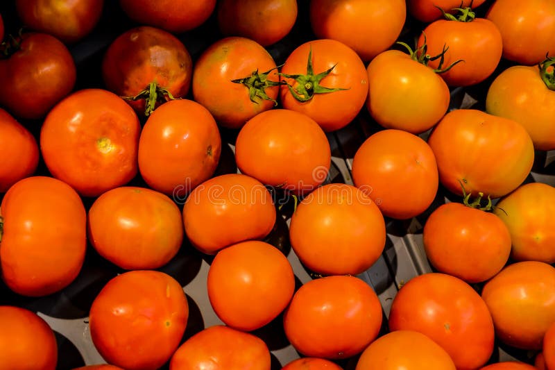 A Bunch of Oranges are Piled Up on a Table Stock Photo - Image of ...