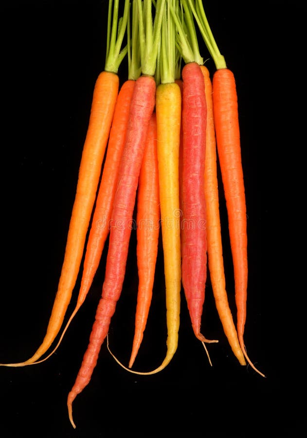 Bunch of Organic Carrots in Different Colors Isolated on Black Stock ...