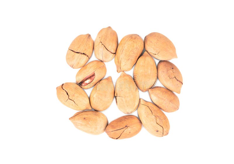 Pecan nut in shell stock image. Image of cracked, core - 250347585