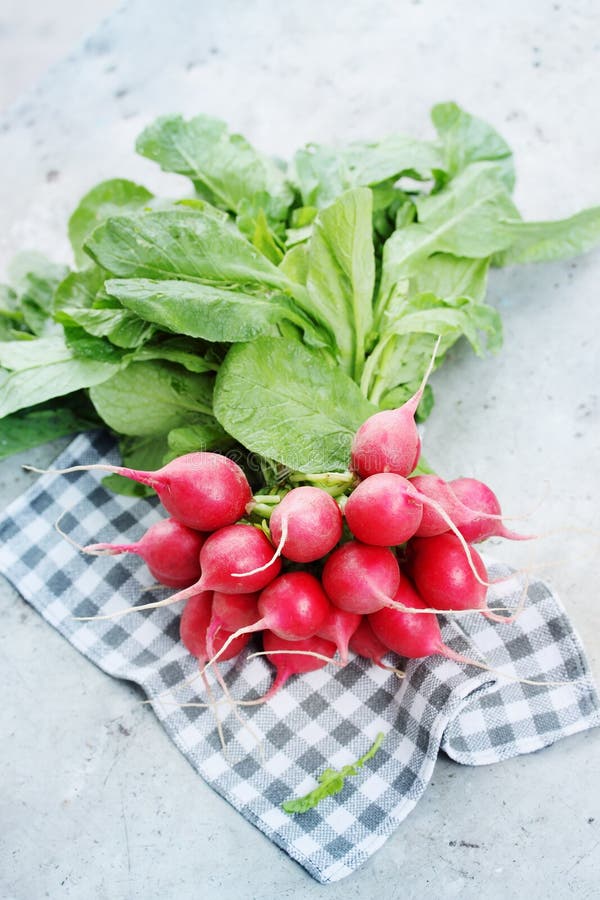 Bunch of organic radishes stock image. Image of close - 51394691