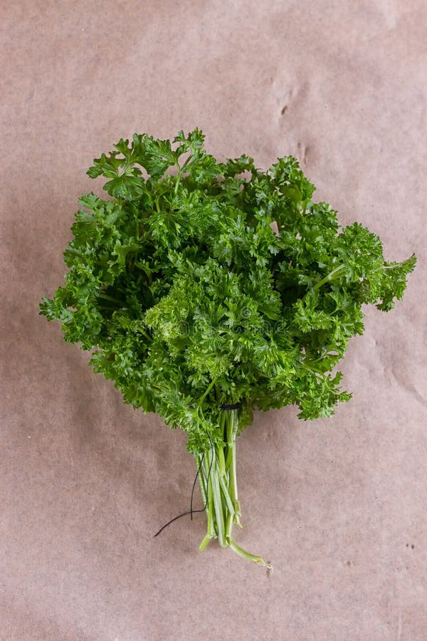 Bunch of Parsley and Wrapping Paper Stock Photo - Image of parsley ...