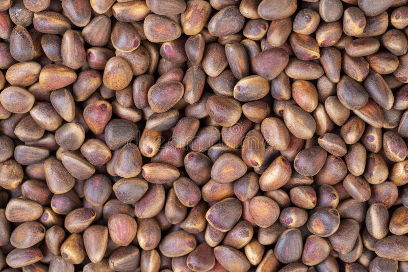A Bunch of Pine Nuts in the Shell Stock Image - Image of vegetarian ...