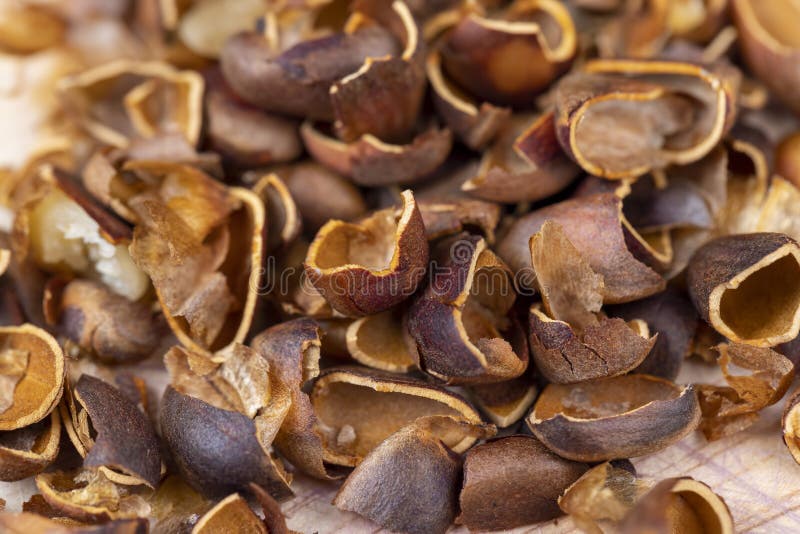 A Bunch of Pine Nuts in the Shell Stock Image - Image of pile, cone ...