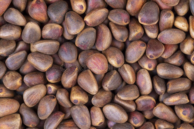 A Bunch of Pine Nuts in the Shell Stock Image - Image of heap ...