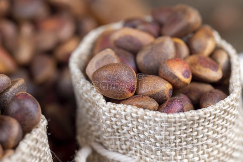 A Bunch of Pine Nuts in the Shell Stock Image - Image of food, closeup ...