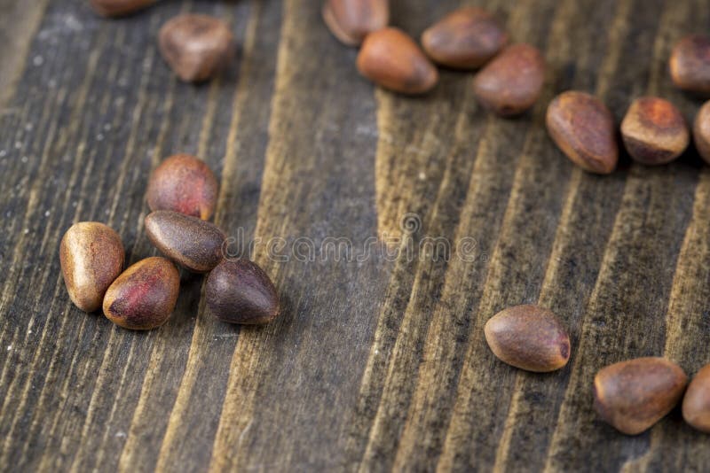 A Bunch of Pine Nuts in the Shell Stock Photo - Image of cedar, nuts ...