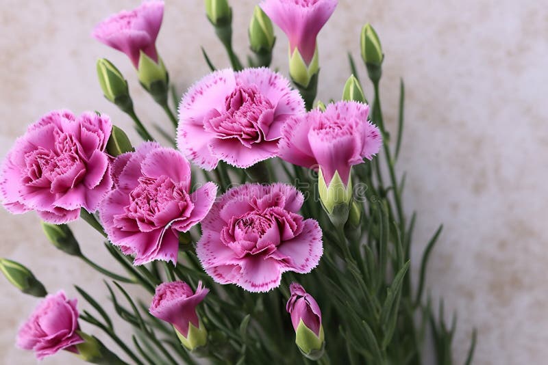 A Bunch of Pink Carnations in a Vase. Generative AI Image. Stock ...