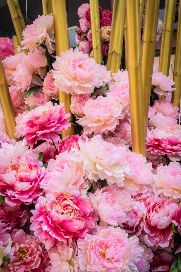 A bunch of pink flower stock photo. Image of beautiful - 29071332
