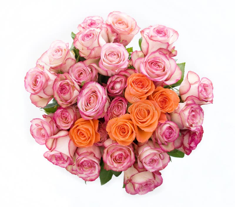 Bunch of pink roses stock photo. Image of bunch, botanic - 6513990