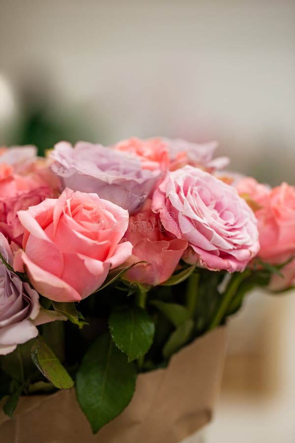 Bunch of Pink Roses stock photo. Image of close, flower - 34864630