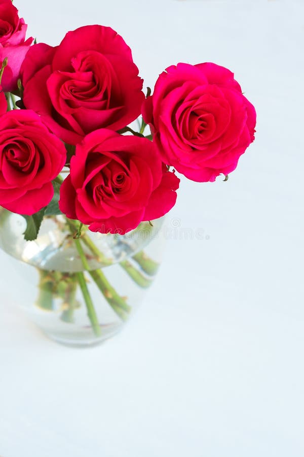 Beautiful Vase with Pink Roses Stock Photo - Image of freshness ...