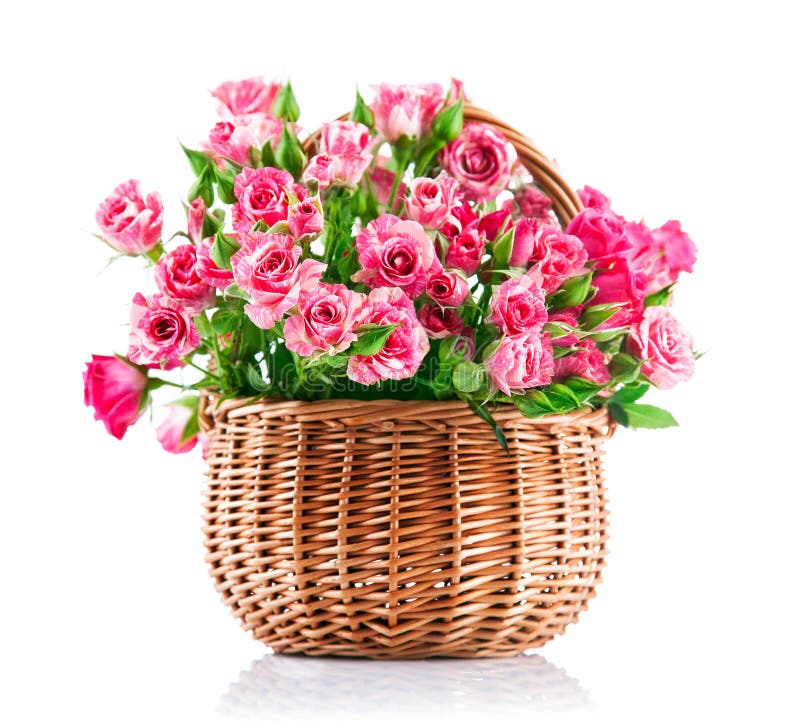 Bouquet Pink Roses in Wooden Basket Stock Image - Image of floral ...