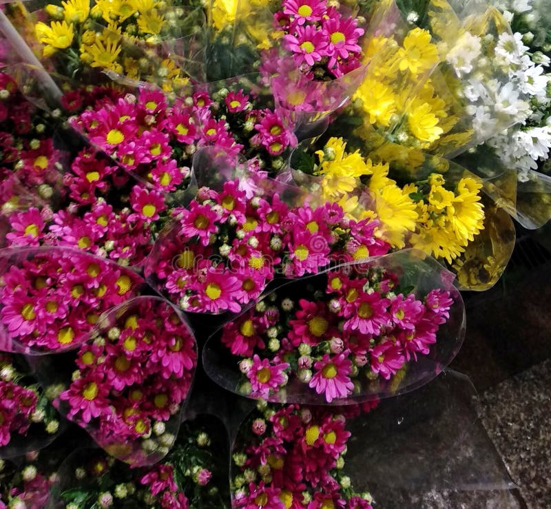 A Bunch of Pink Wild Flowers Stock Photo - Image of flower, lilac ...