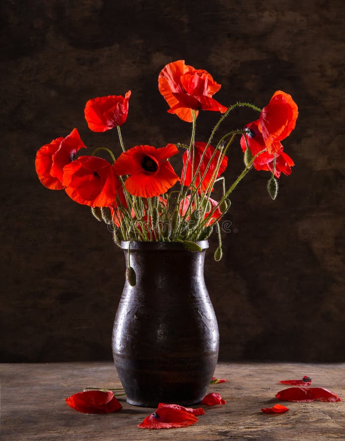 Red Poppies in a Ceramic Vase Stock Photo - Image of group, nostalgia ...