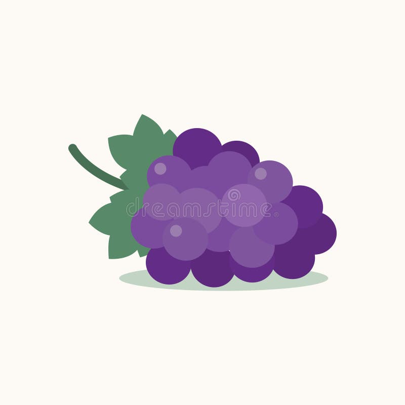 Bunch of purple grapes stock vector. Illustration of agriculture ...