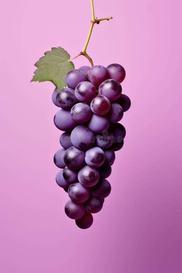 Bunch of Purple Grapes on Vibrant Purple Background AI Generated Stock ...