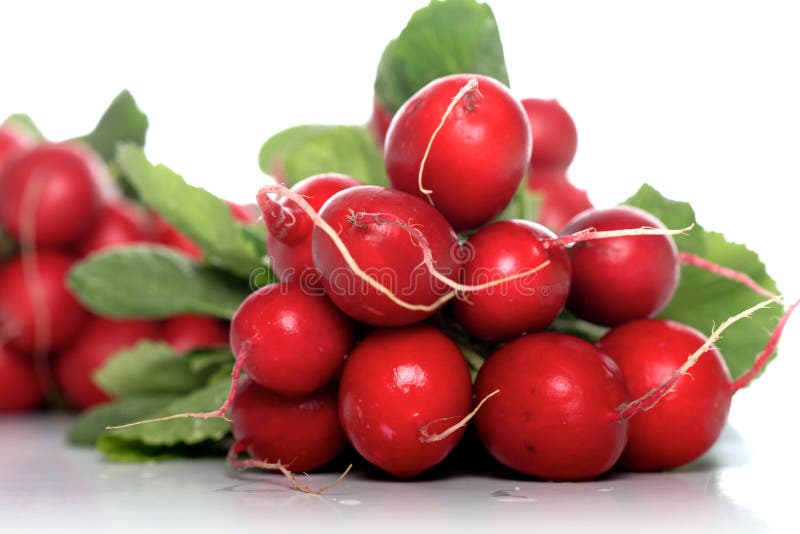 Bunch of Raddish on White Background Stock Photo - Image of food, fresh ...