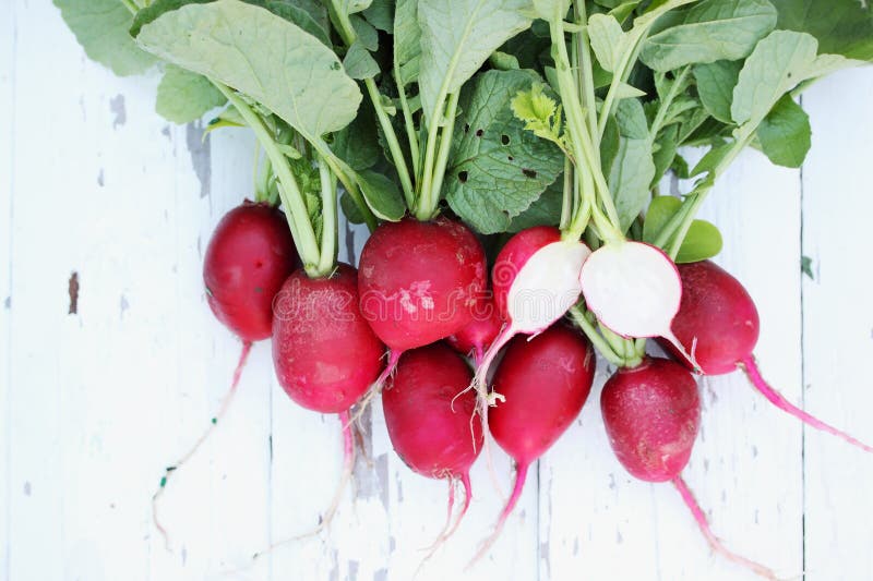 Bunch of Radishes, Top View Stock Photo - Image of green, food: 56926250