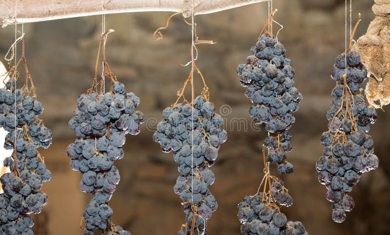Bunch of raisins stock photo. Image of wine, color, group - 31190706