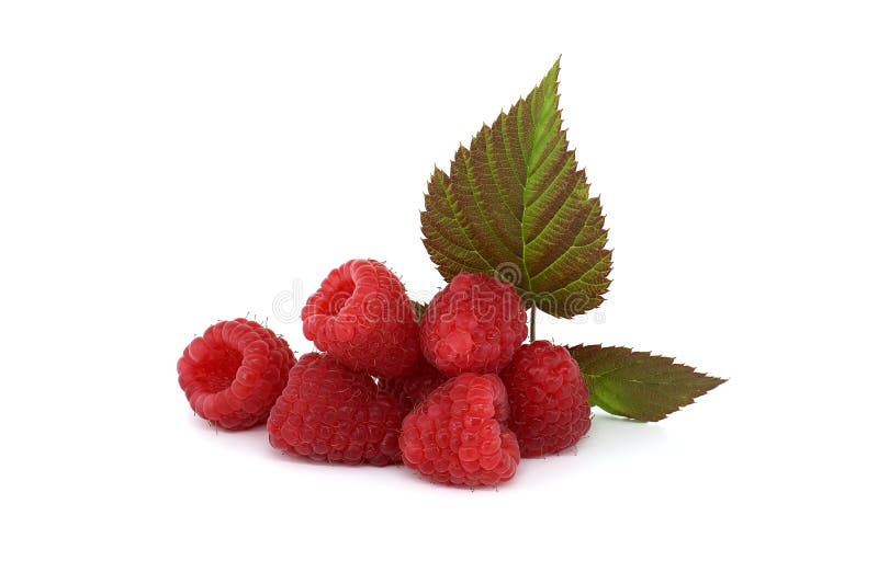Bunch of Raspberry Fruits with Leaves Isolated on White Stock Image ...