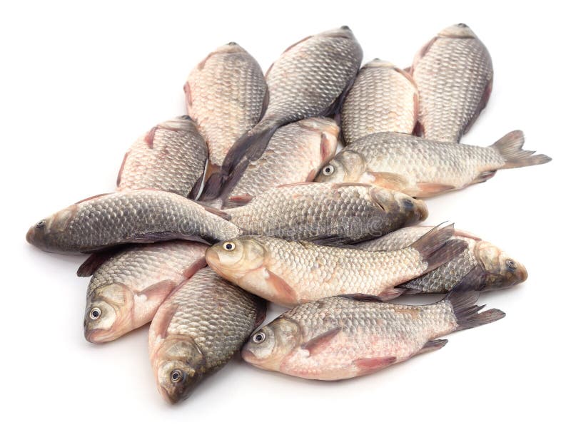 Bunch of raw fish stock photo. Image of healthy, heap - 267748152