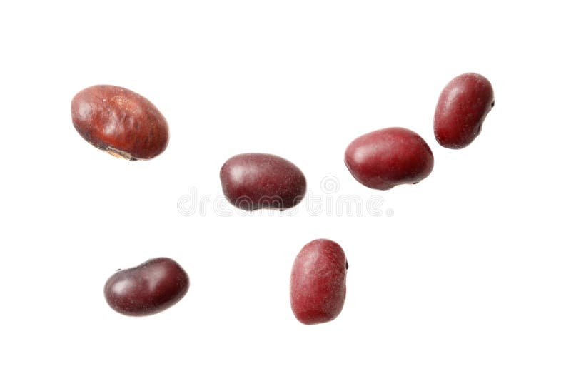 A Bunch of Red Beans are Shown in a Row Stock Photo - Image of health ...