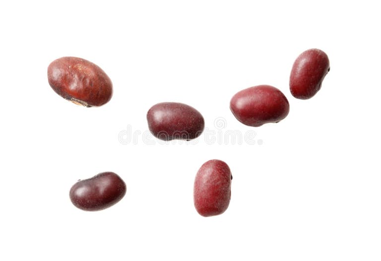 A Bunch of Red Beans are Shown in a Row Stock Photo - Image of health ...