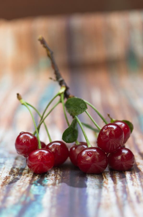 A bunch of red cherries. stock image. Image of daylight - 120334227