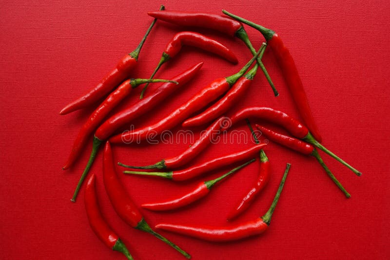 Bunch of Red Chili Pepper Pods on Red . Top View Stock Image - Image of ...