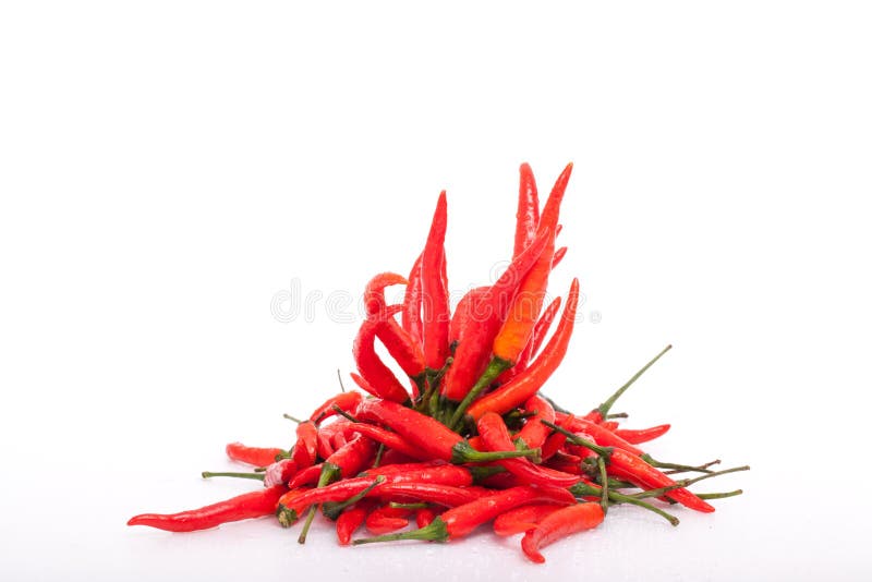Chilli stock image. Image of healthy, food, nature, organic - 23610539