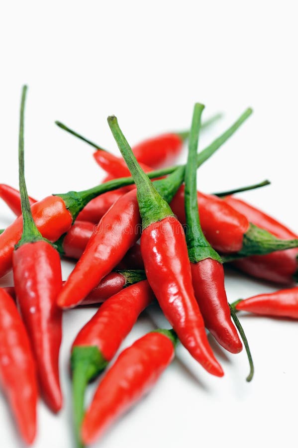 Bunch of Red chillies I stock image. Image of nutrition - 7275055