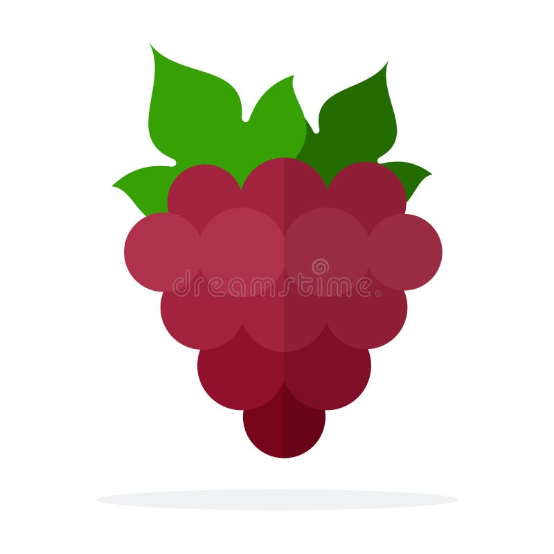 Bunch of Red Grapes Vector Flat Isolated Stock Vector - Illustration of ...
