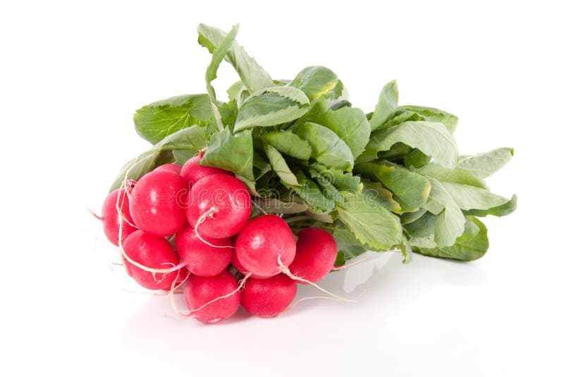 A Bunch of Red Healthy Radish Stock Photo - Image of plant, green: 13539248