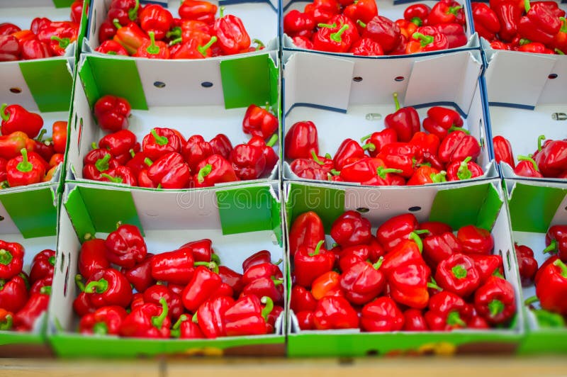 Bunch of Red Paprika in Boxes Stock Photo - Image of fresh, shopping ...
