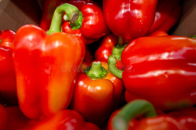 Bunch of Red Peppers are Piled on Top of Each Other Stock Illustration ...