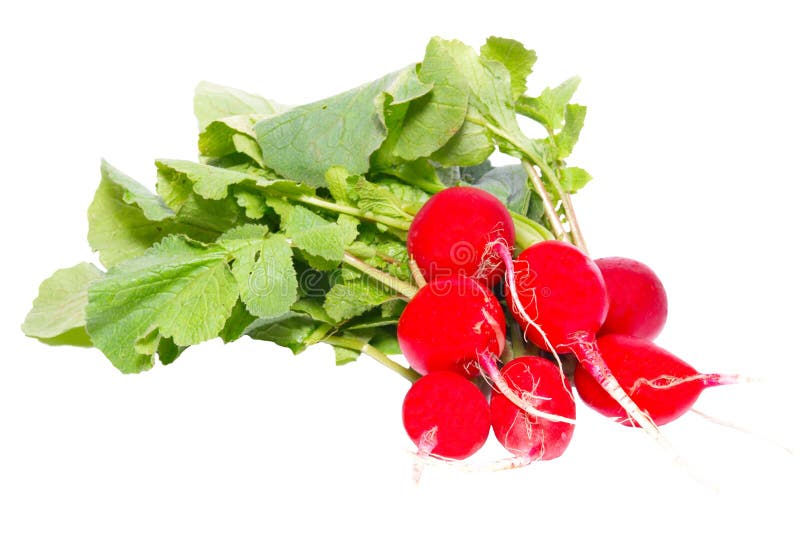 Bunch of red radish stock photo. Image of fresh, plant - 7392100