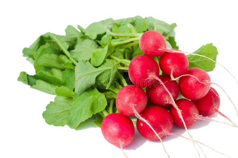 Bunch of red radish stock image. Image of food, fresh - 9881293