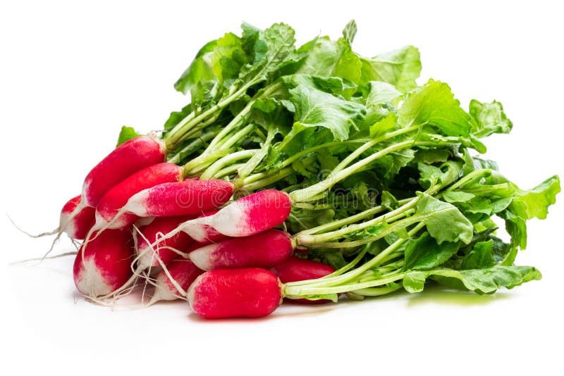 Bunch of Red Radish Isolated on White Stock Photo - Image of ripe, long ...