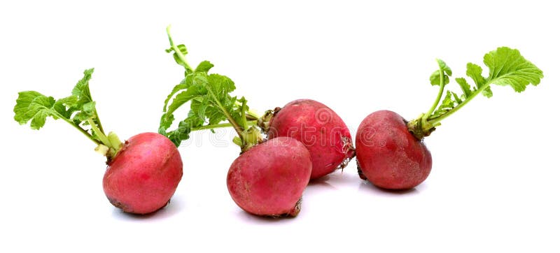 Red radish vegetable. stock image. Image of isolated - 198382913